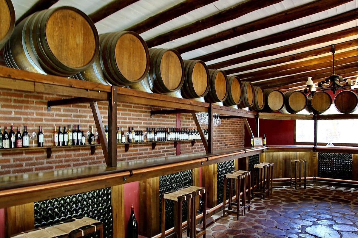 5 Bodegas Imperdibles en San Rafael, Mendoza: Guía 2025