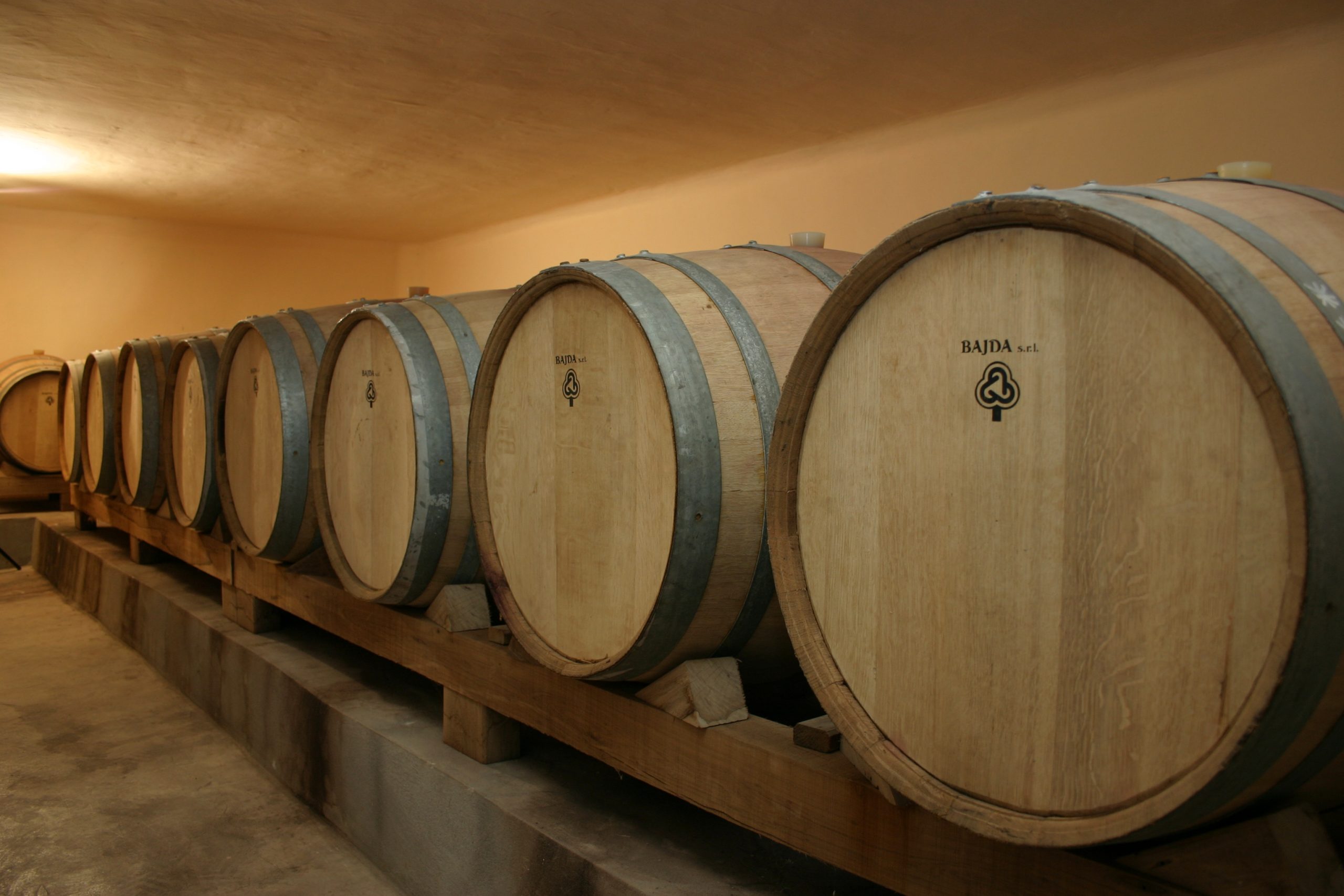 5 Bodegas Imperdibles en San Rafael, Mendoza: Guía 2025